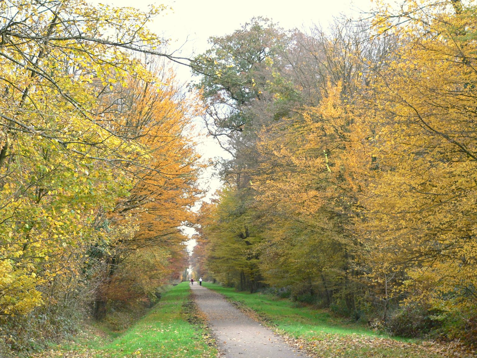 L'environnement à Boissy - Boissy-Saint-Léger