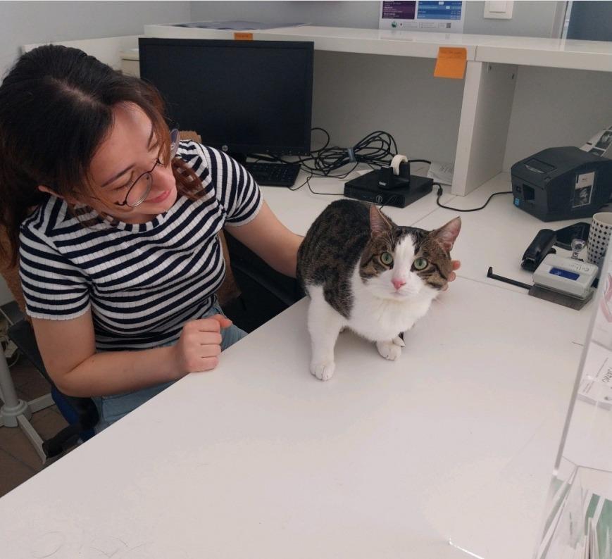 Boissy "Ville amie des animaux" - Boissy-Saint-Léger